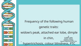 Frequency of human genetic trait widows peak attached ear lobe dimple ...