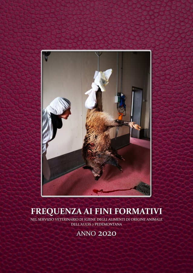 Frequenza ai fini formativi 2020 | PDF