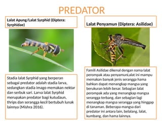 musuh alami pada tanaman padi dan cara mengatasinya | PPTX
