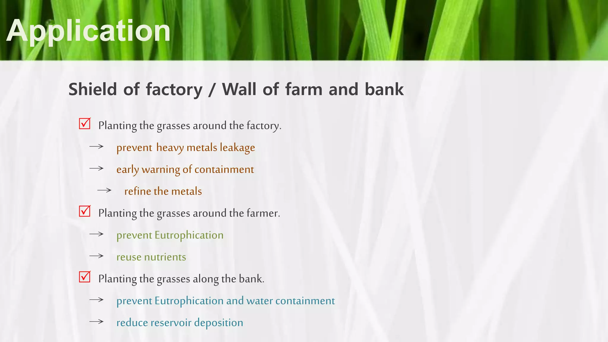 Green Wall | PPT