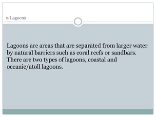 Fresh and marine ecosystem | PPTX