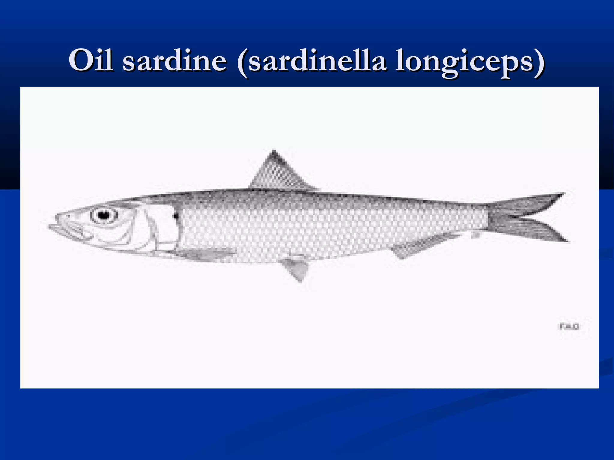 Fresh and marine fish and shell fish | PPT