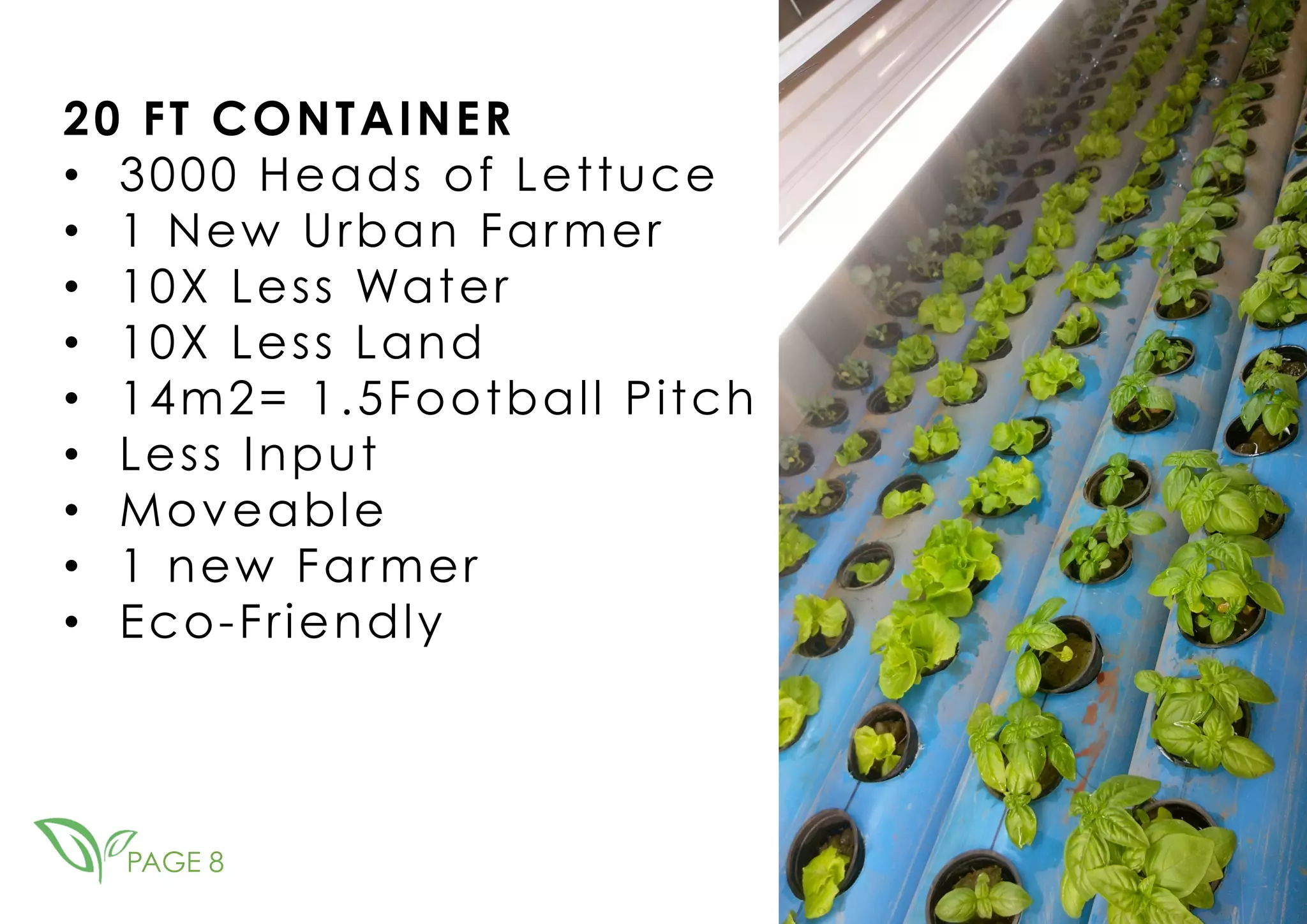 Fresh Direct: produce and agro-allied services | PPT