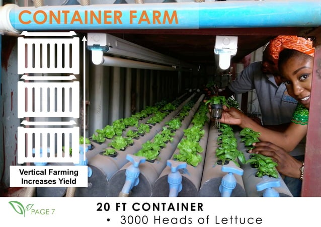 Fresh Direct: produce and agro-allied services | PPT