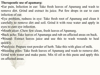 Fresh herbs ppt3 | PPT