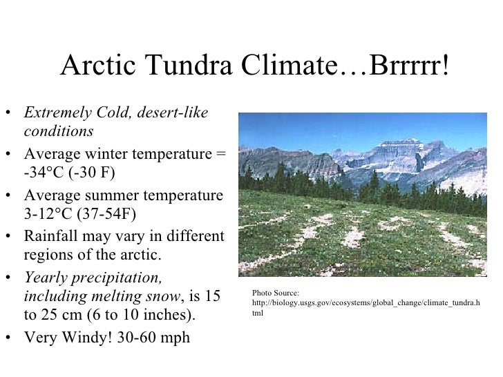 Tundra Land Biome Description And Characteristics