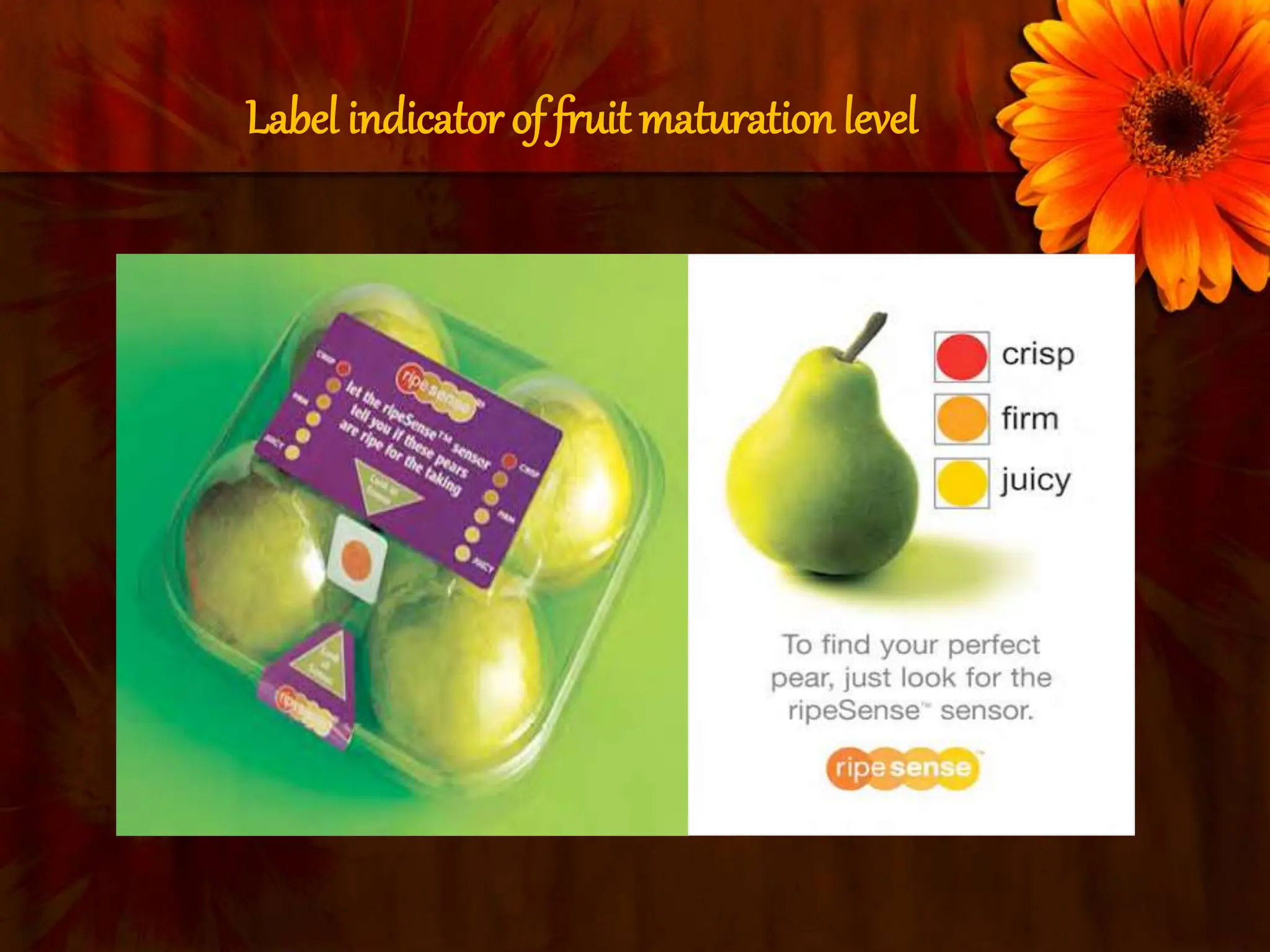 freshness indicators in food processing & preservation | PPT