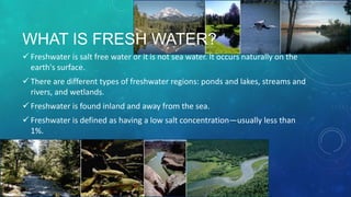 Freshwater | PPTX