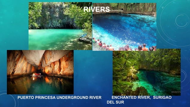 Freshwater | PPTX | Geography | Science