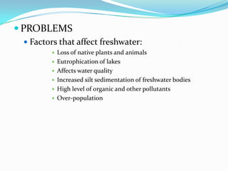 Freshwater | PPTX