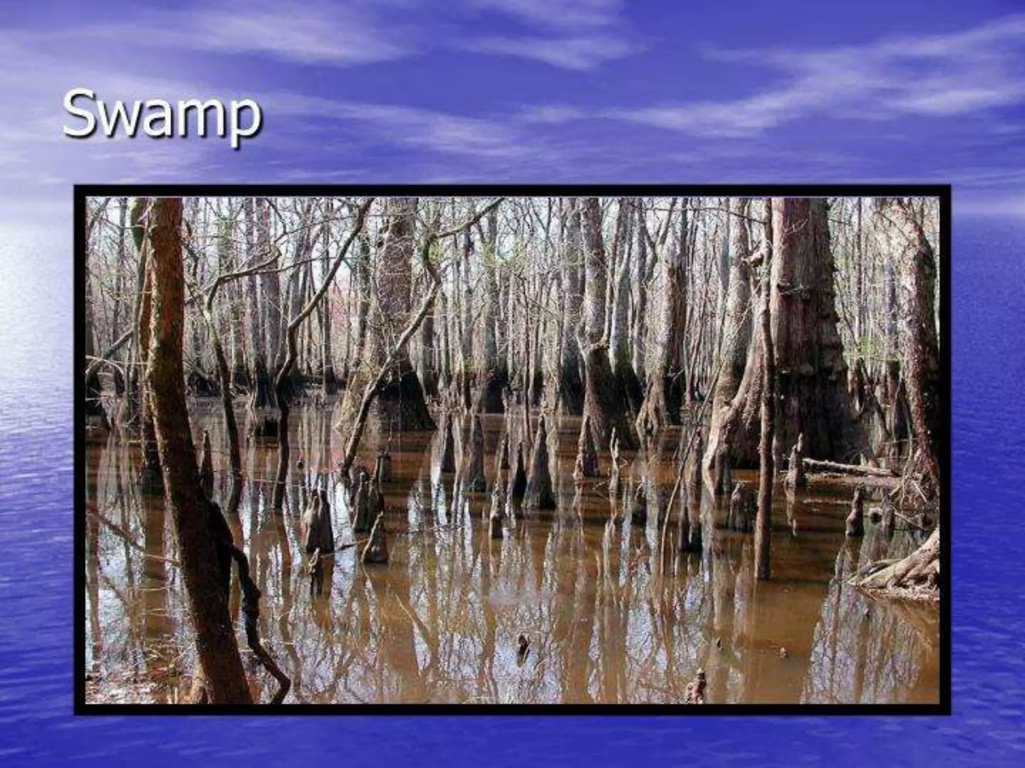 Fresh water and marine ecosystems | PPTX