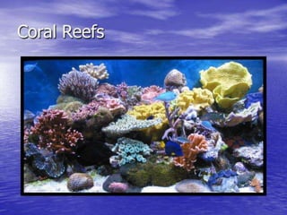 Fresh water and marine ecosystems | PPTX