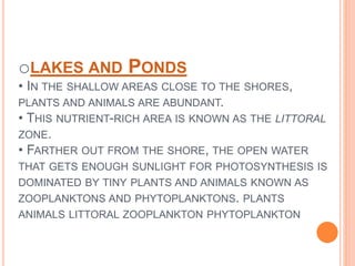 Fresh water and marine ecosystems | PPTX
