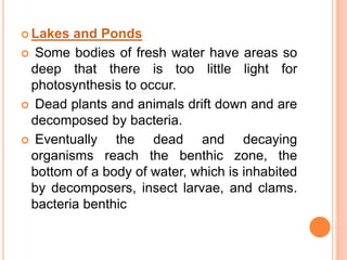 Fresh water and marine ecosystems | PPTX
