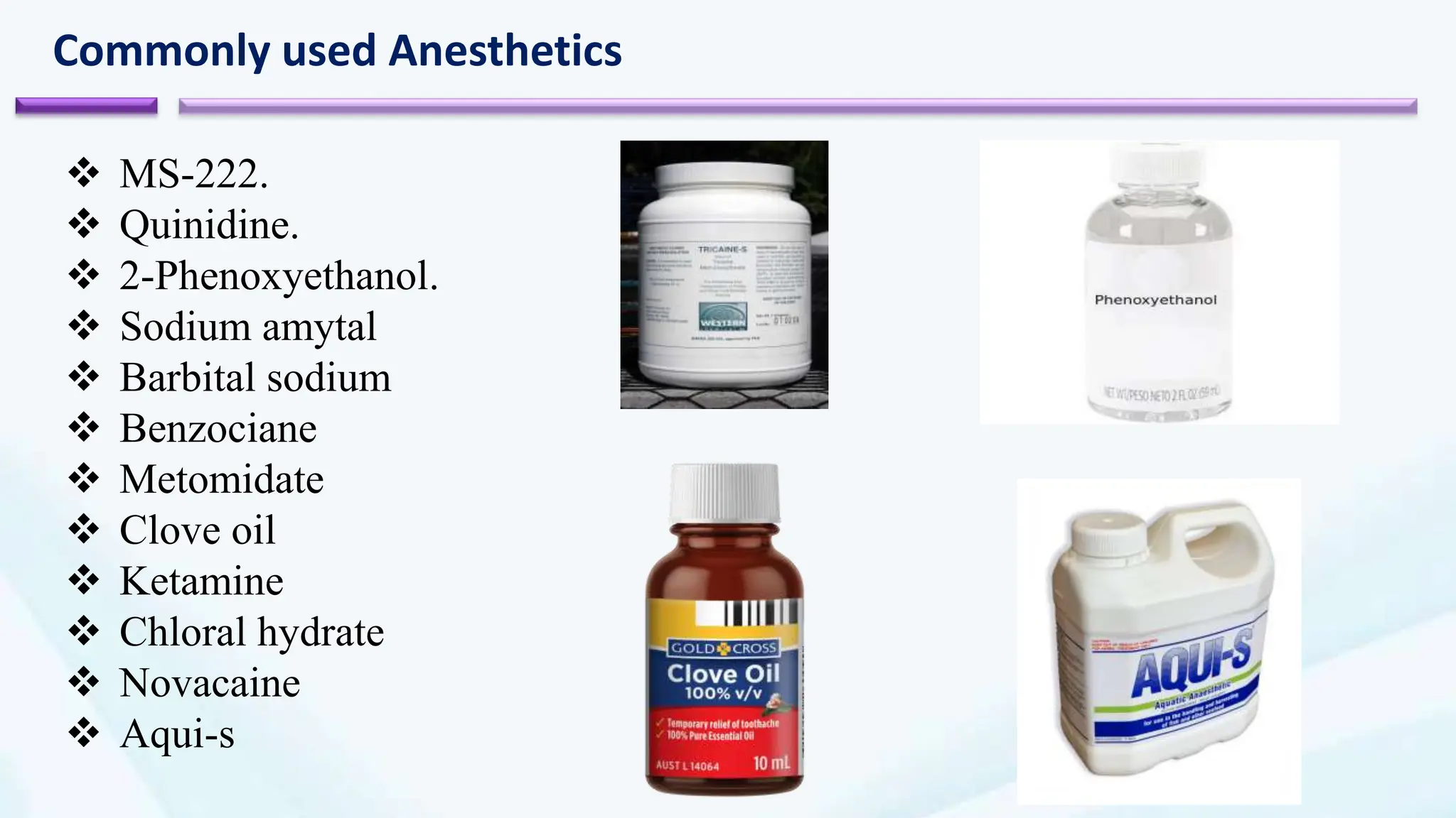 Anesthetics, Antiseptics, Antibiotics.pptx