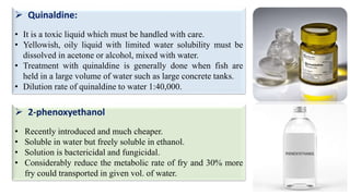 Anesthetics, Antiseptics, Antibiotics.pptx