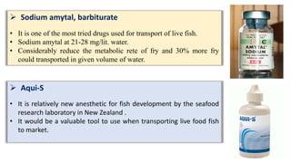 Anesthetics, Antiseptics, Antibiotics.pptx