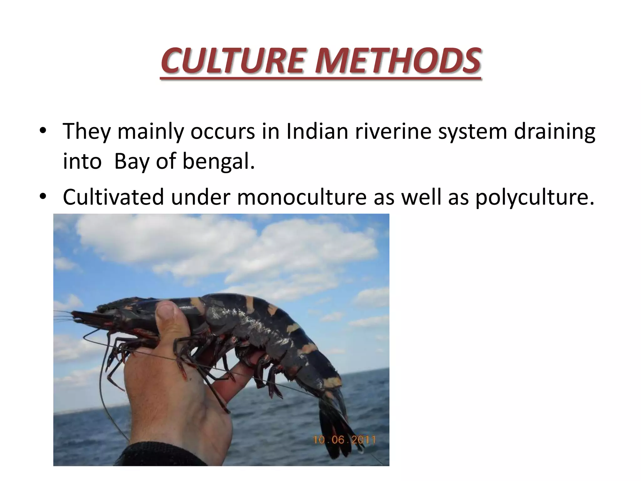 TRAITS OF IMPORTANT CULTIVABLE FISH AND SHELLFISH & THEIR CULTURE ...