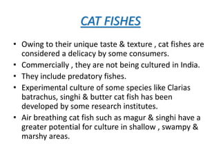 TRAITS OF IMPORTANT CULTIVABLE FISH AND SHELLFISH & THEIR CULTURE ...