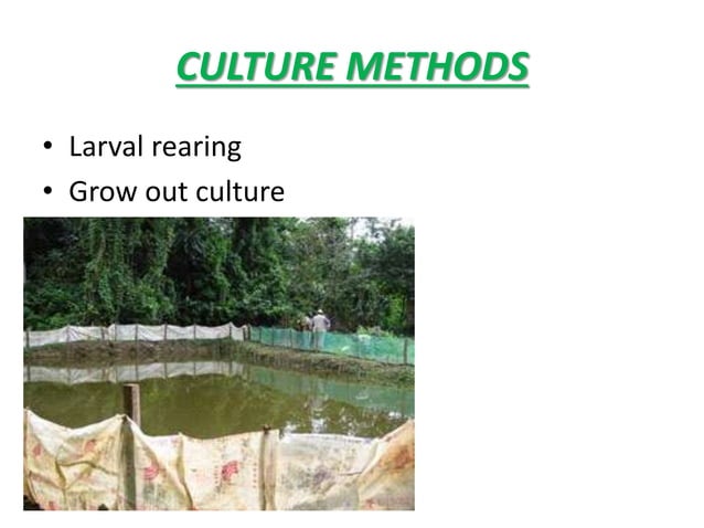 TRAITS OF IMPORTANT CULTIVABLE FISH AND SHELLFISH & THEIR CULTURE ...