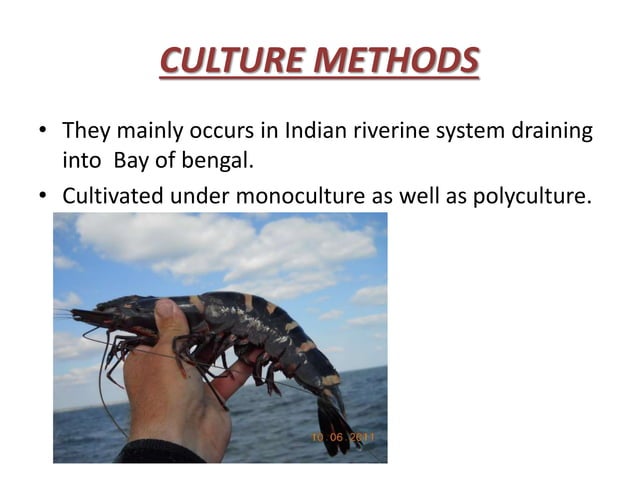 TRAITS OF IMPORTANT CULTIVABLE FISH AND SHELLFISH & THEIR CULTURE ...