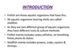TRAITS OF IMPORTANT CULTIVABLE FISH AND SHELLFISH & THEIR CULTURE ...