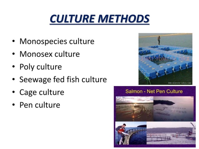 TRAITS OF IMPORTANT CULTIVABLE FISH AND SHELLFISH & THEIR CULTURE ...