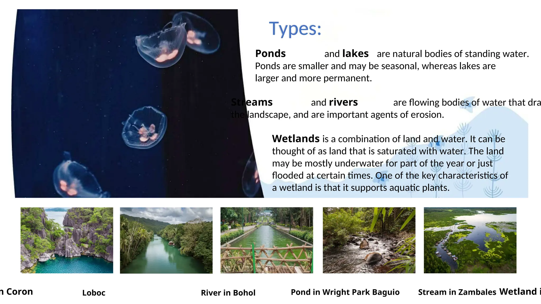 Freshwater Biome Types, Characteristics and Factors | PPTX
