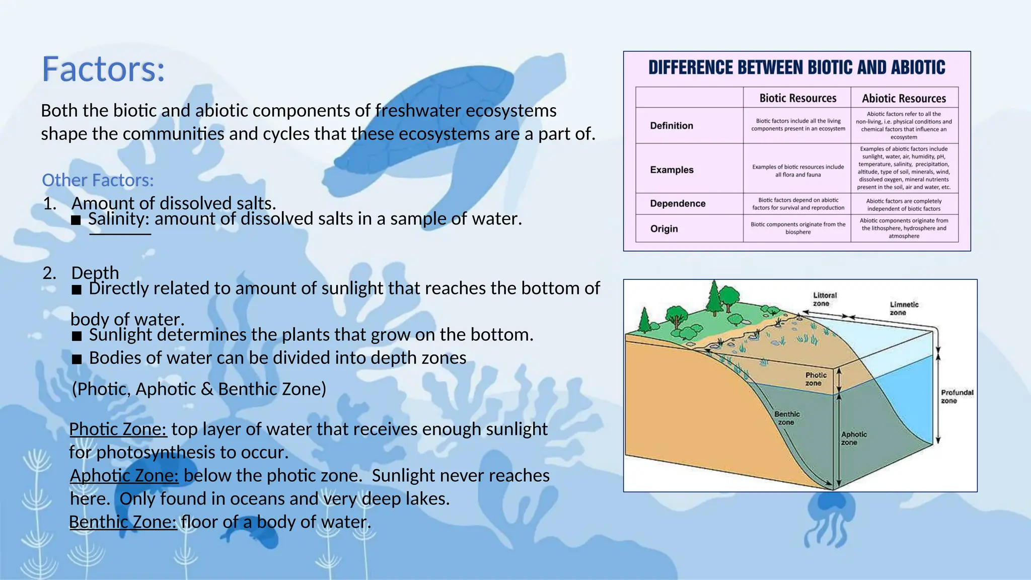 Freshwater Biome Types, Characteristics and Factors | PPTX