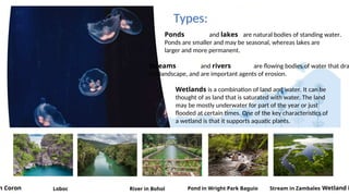 Freshwater Biome Types, Characteristics and Factors | PPTX