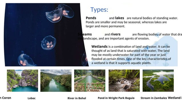 Freshwater Biome Types, Characteristics and Factors | PPTX