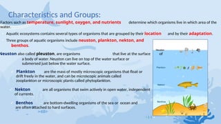Freshwater Biome Types, Characteristics and Factors | PPTX