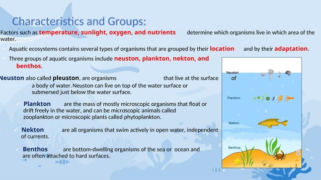 Freshwater Biome Types, Characteristics and Factors | PPTX