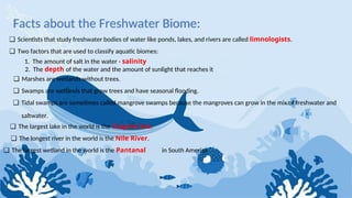 Freshwater Biome Types, Characteristics and Factors | PPT