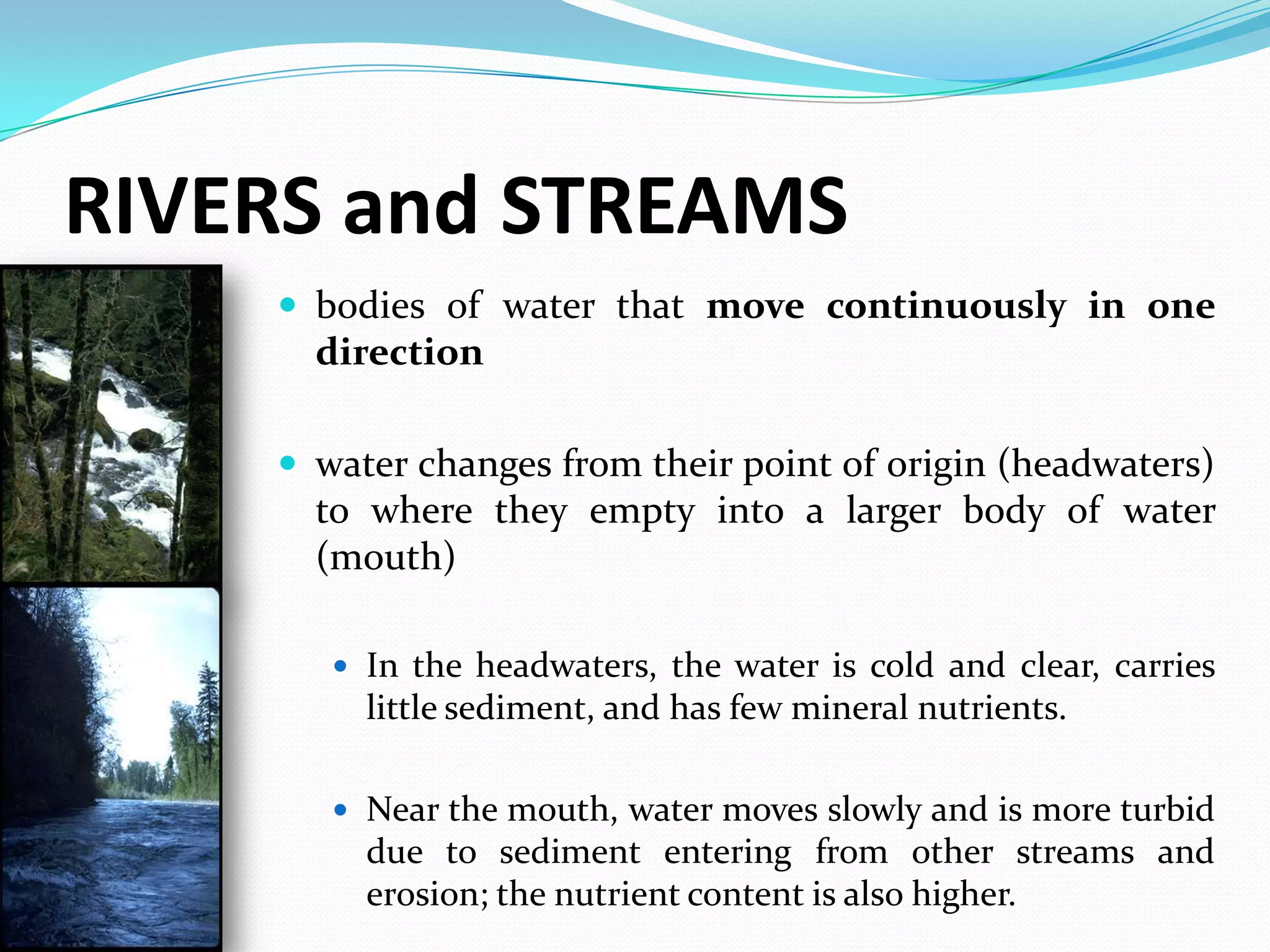 Freshwater biomes | PPTX