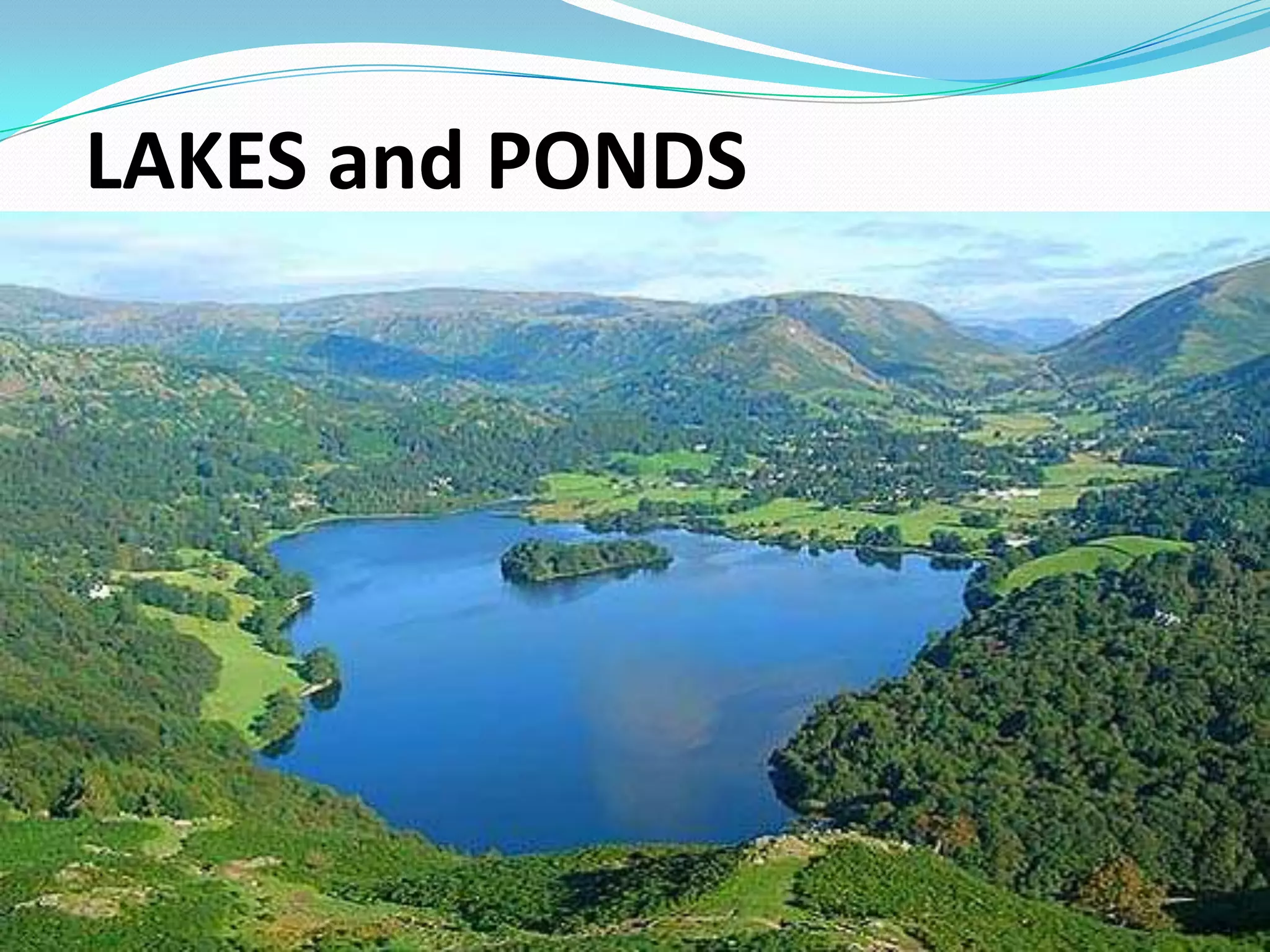 Freshwater biomes | PPTX