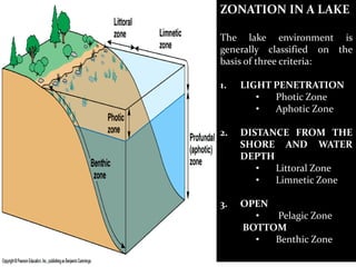 Freshwater biomes | PPTX