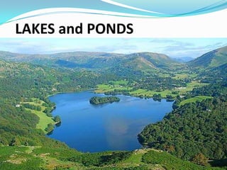 Freshwater biomes | PPTX