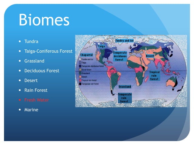 Fresh water biomes | PPTX