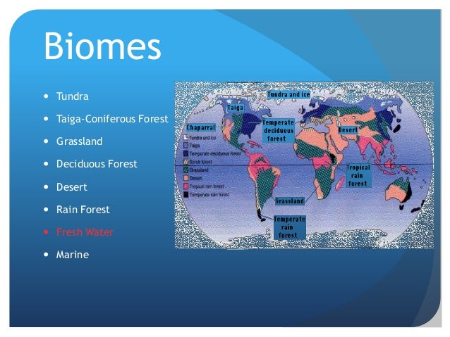 Fresh water biomes