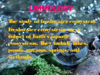 Freshwater ecology | PPT