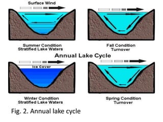 Freshwater ecosystem | PPTX