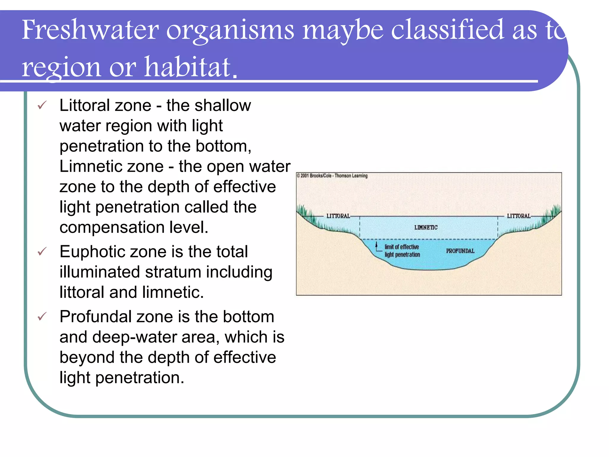 Freshwater Ecosystem | PPTX