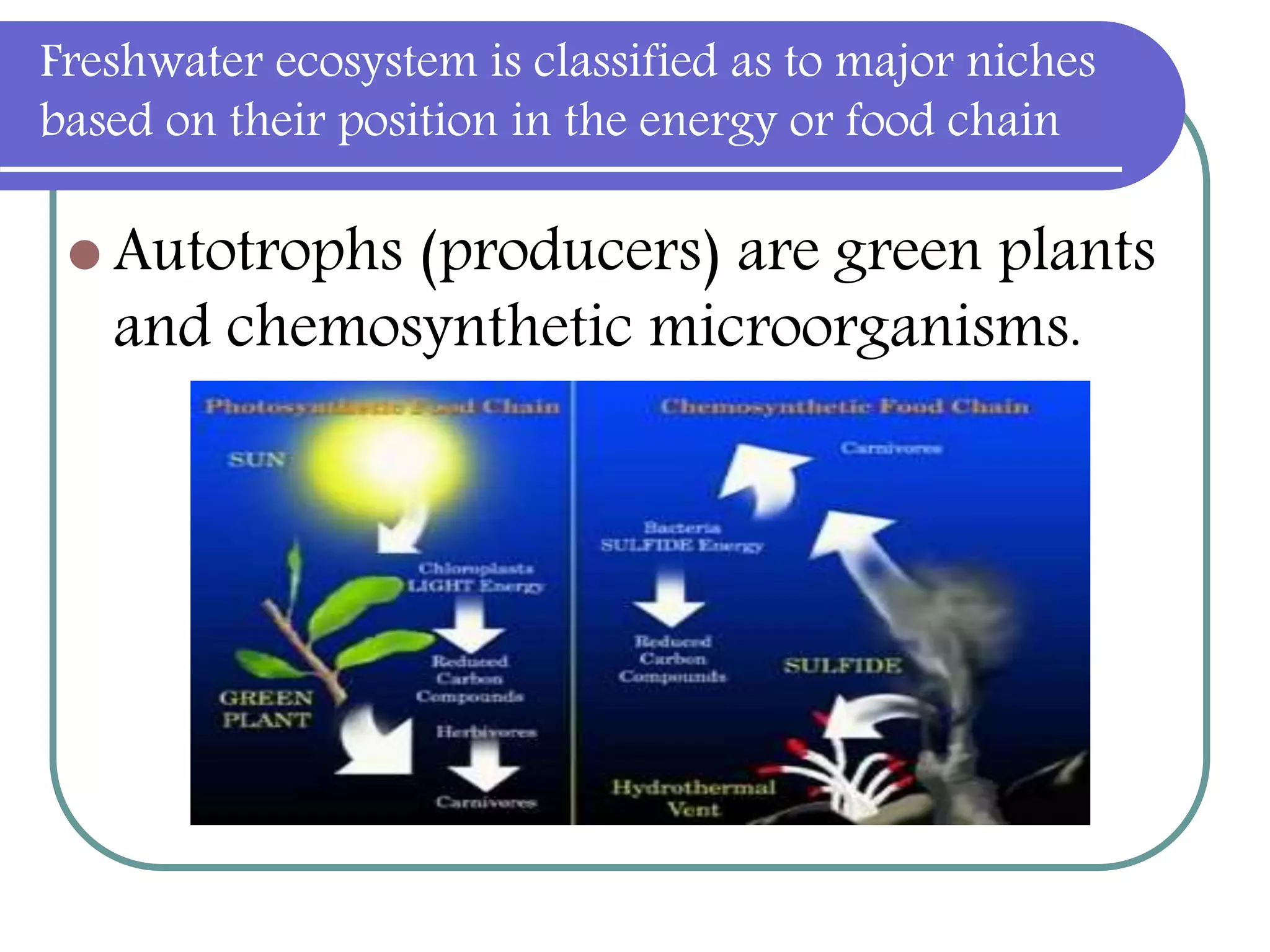 Freshwater Ecosystem | PPTX