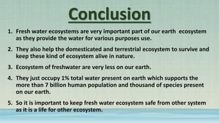 FRESH WATER ECOSYSTEM msc zoology and all | PPTX
