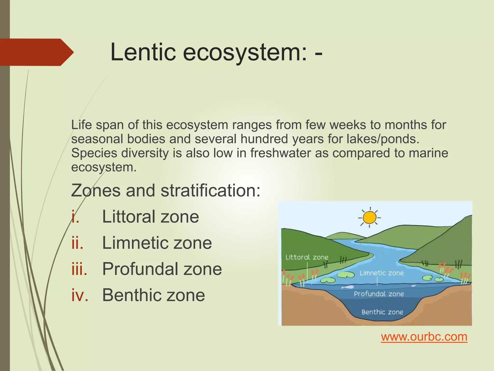 Freshwater ecosystem | PPTX