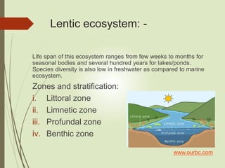 Freshwater ecosystem | PPTX