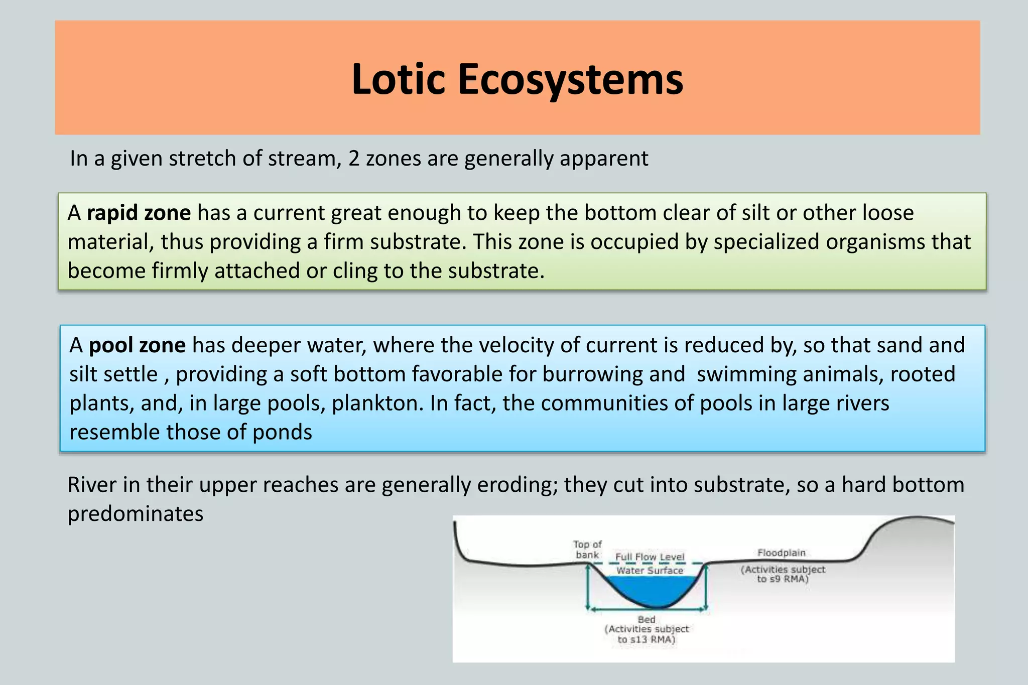 Freshwater ecosystem (2) | PPTX
