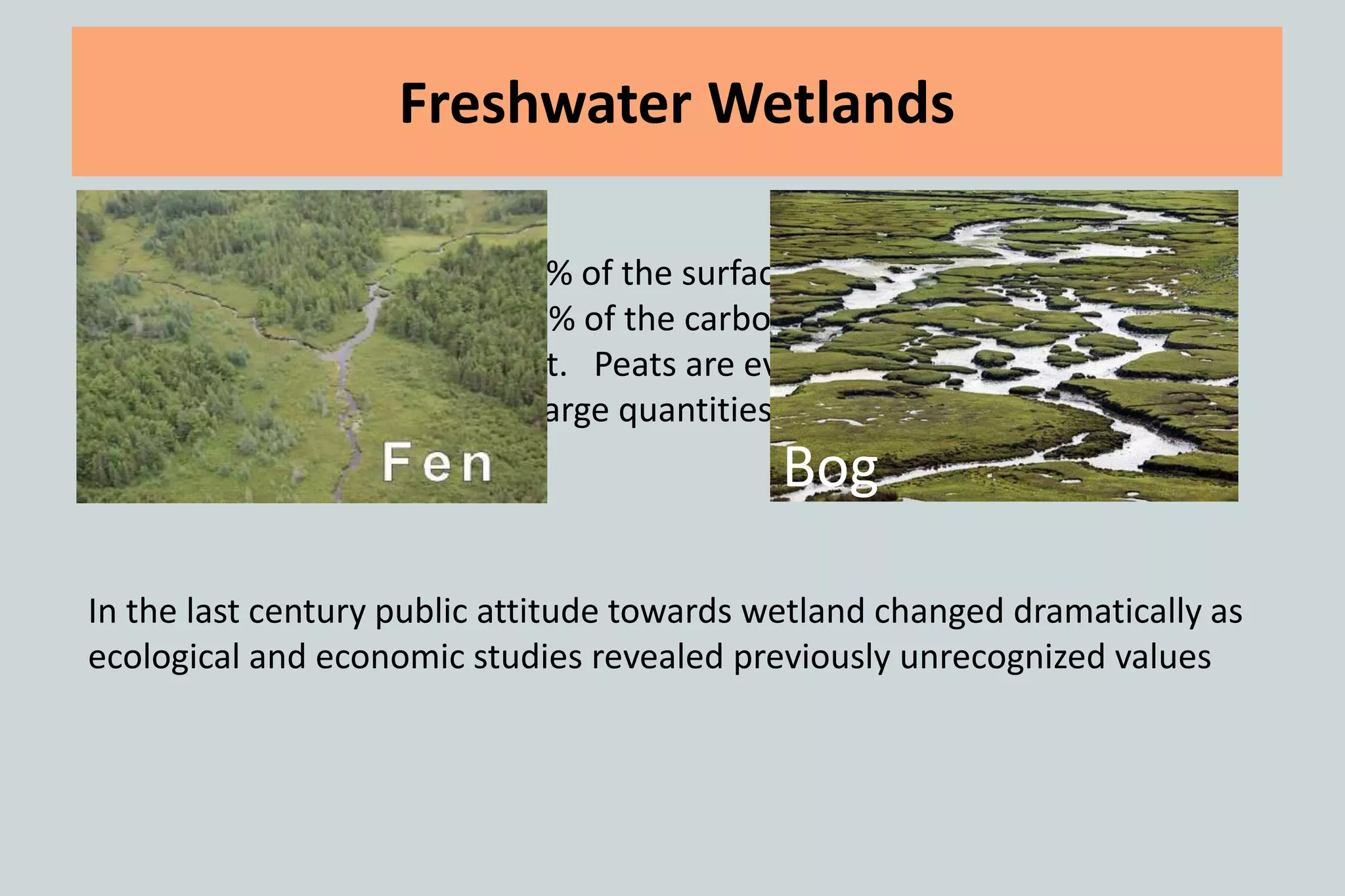Freshwater ecosystem (2) | PPTX