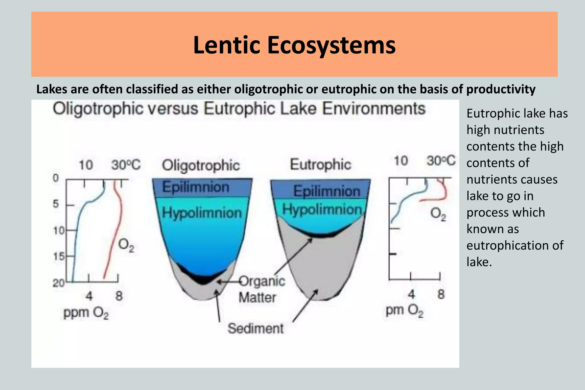 Freshwater ecosystem (2) | PPTX